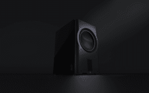 The World’s Most Accurate Subwoofer? - PERLISTEN® Audio